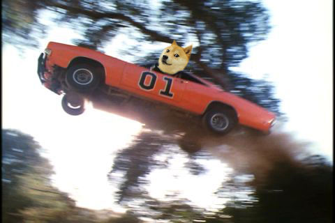 为何那条名为「Doge」的狗传播如此广泛？ - 知乎