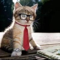 Vide Coding + 大模型 就是一个团队 - 知乎