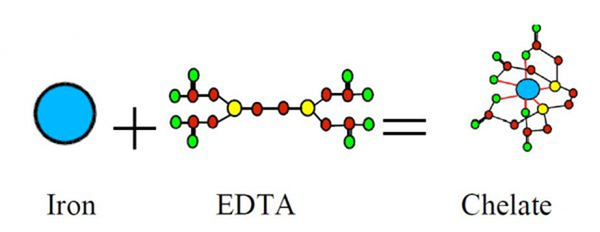 生命科学耗材 的想法: EDTA和EGTA有什么区别?EDTA和EGTA共同点※ EDTA和EGTA都是螯合剂。它们是或多或少具有相同性质的氨基聚羧… - 知乎