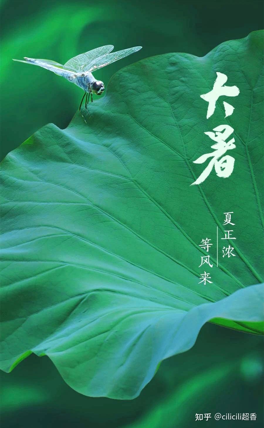 cilicili超香 - 知乎
