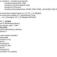 Wind 的想法: 想调用Pytorch中的torchvision.models 的VIT预训练模型，对图片进行分类，请教一下，需要和如何对 ...