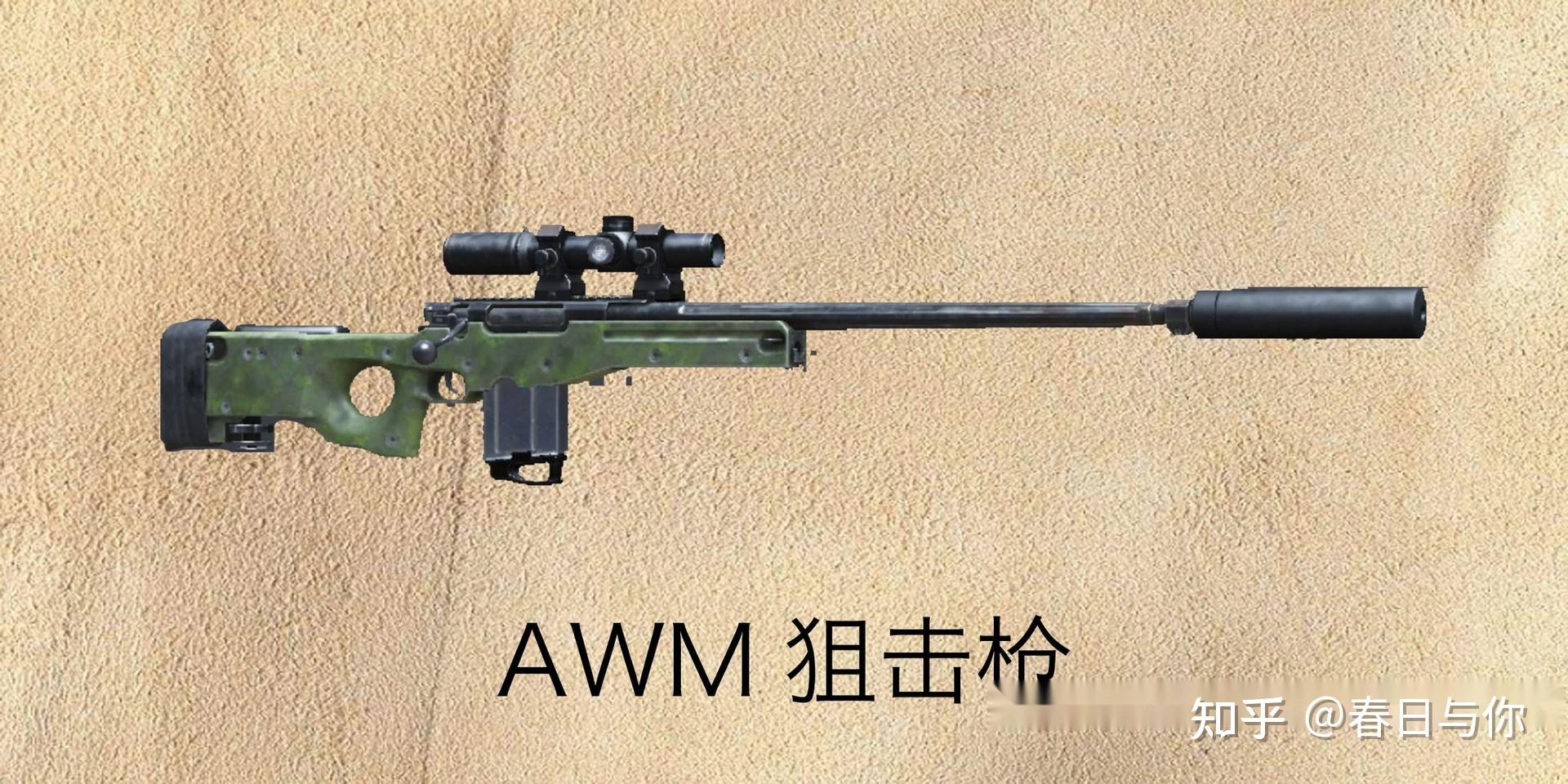 坚定 的想法: 而AWM的全称是Arctic Warfare Magnum，与AWP一样，它也采用了“Arctic Warfare”设计理念 ...