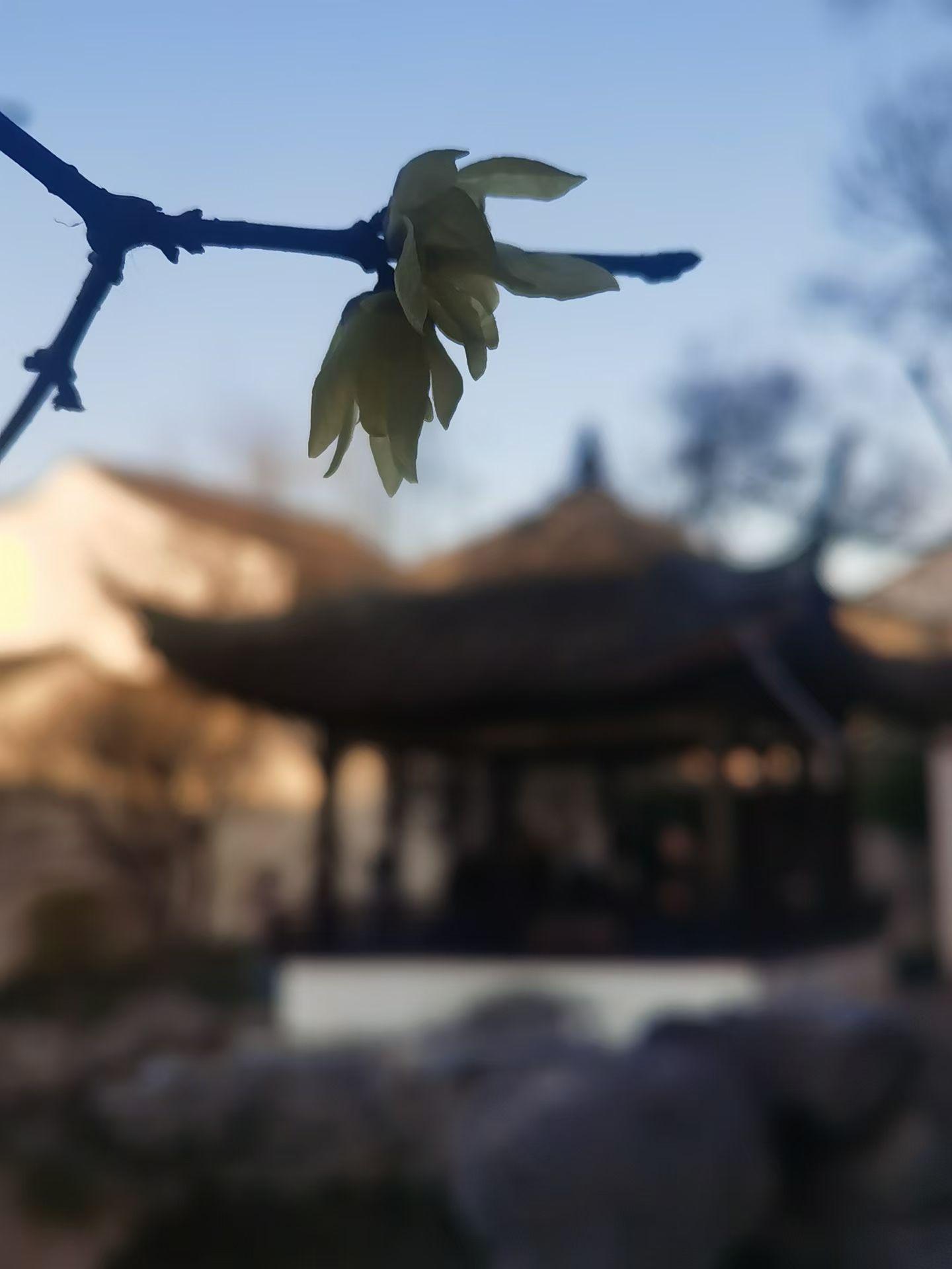 Rain 的想法: #薇笑人生##每日英语学习# | #薇笑人生##每日英语学习 #翻翻相册 You and I who still ...