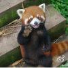 《缺氧》石油裂解及发电厂模块 - 知乎