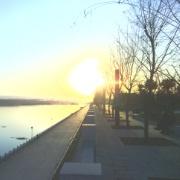 VCNET AND FUNCTIONAL TARGETED REGULARIZATION FOR LEARNING CAUSAL ...