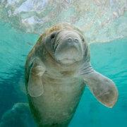 innovate、devise和invent的区别 - 知乎