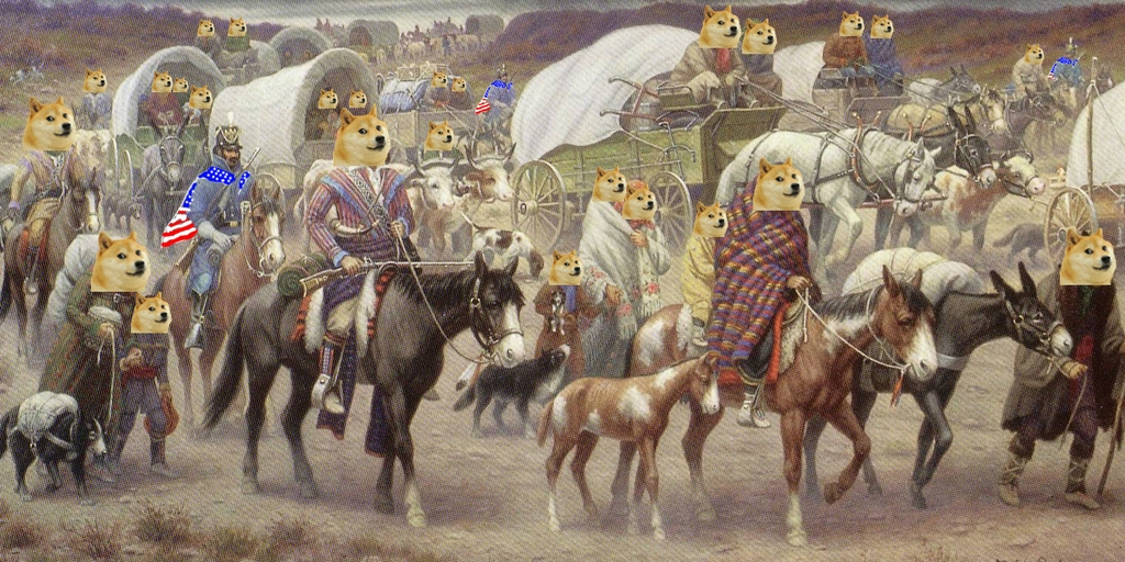 为何那条名为「Doge」的狗传播如此广泛？ - 知乎