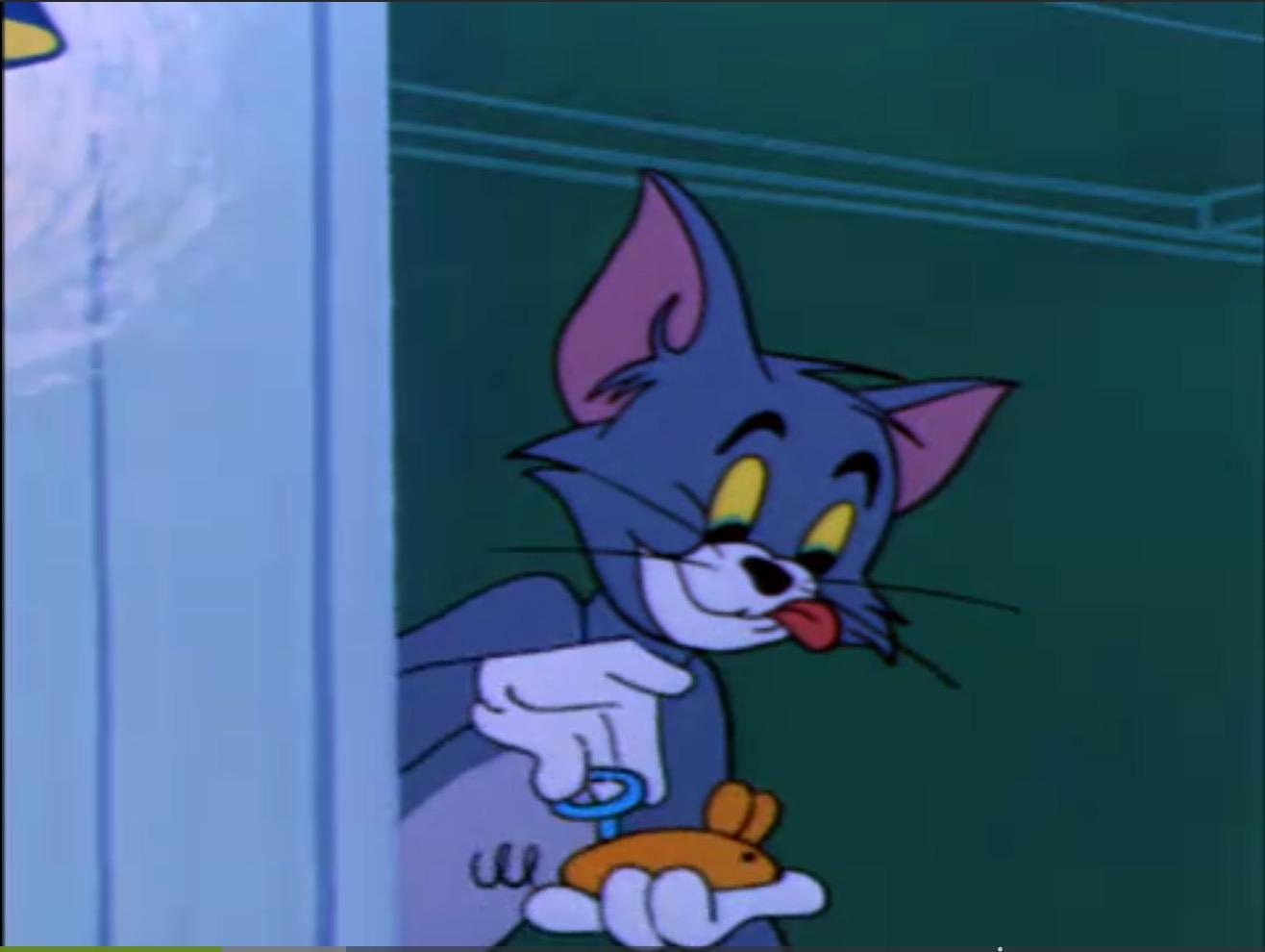 《猫和老鼠》（Tom and Jerry）中的 Tom 猫是什么品种？ - 知乎