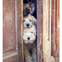 在Unity中调用C++代码：出现EntryPointNotFoundException的解决办法： - 知乎