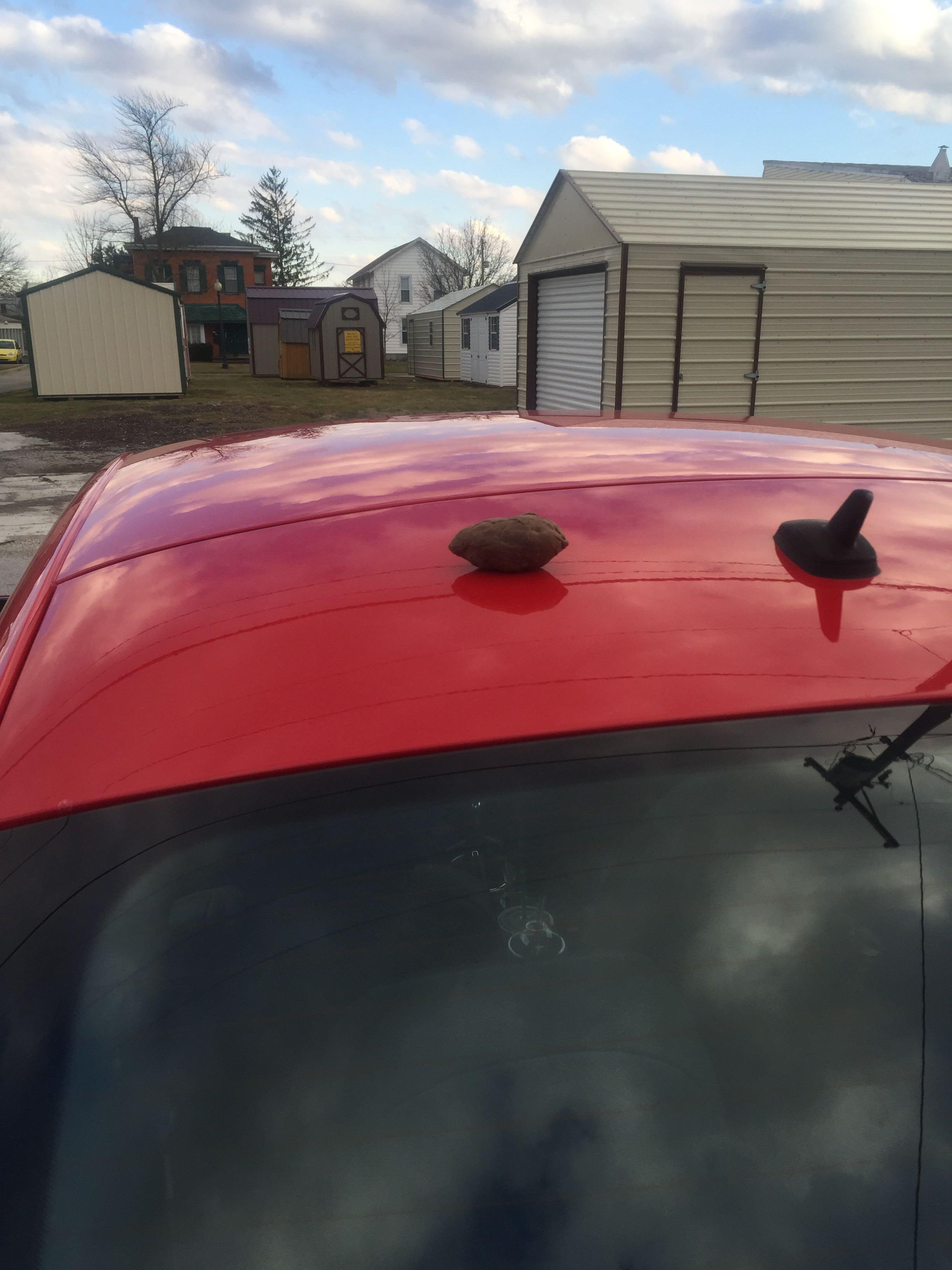 小时候你干过哪些坏事？ - 知乎