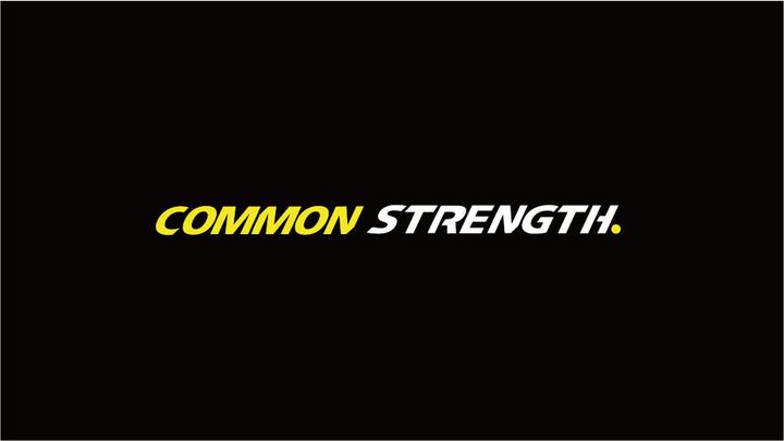 什么是Common Strength？ - 知乎
