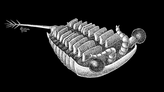 世界上存在过哪些奇特的古生物？ - 知乎