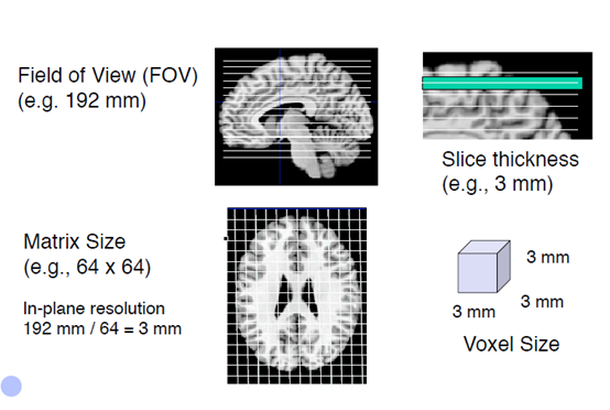 【fMRI Note】Module 3 fMRI Data Structure - 知乎