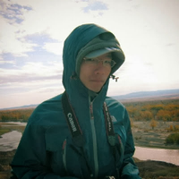 TypeScript + Electron + Tailwind CSS 项目配置 - 知乎