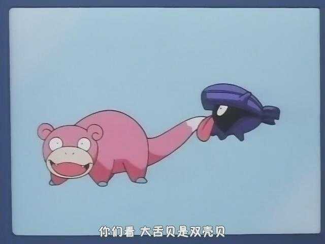 呆河马尾巴上的那只东西是什么？ - 知乎