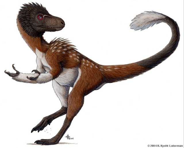 恐龙是怎么演化为鸟类的？ - 知乎