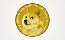 为何那条名为「Doge」的狗传播如此广泛？ - 知乎