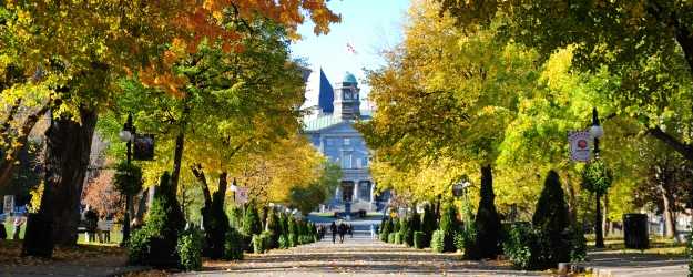 在麦吉尔大学 (McGill University) 就读是怎样的体验？ - 知乎