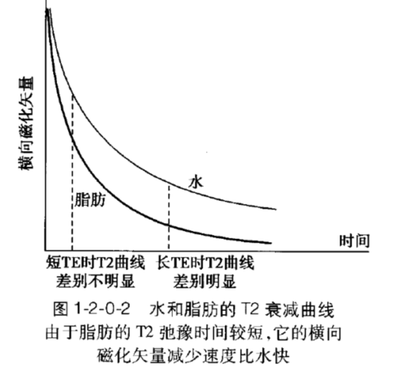 学习MRI时，老师都说 T1 看解剖，T2 看病变，T1、T2 是什么意思？大家怎样理解这句话的？ - 知乎