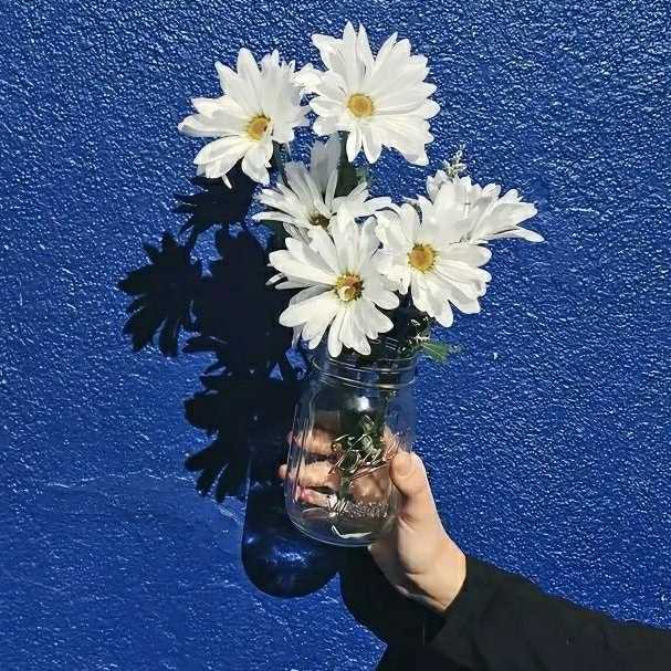 有哪些好看到爆的蓝色系头像？ - 知乎