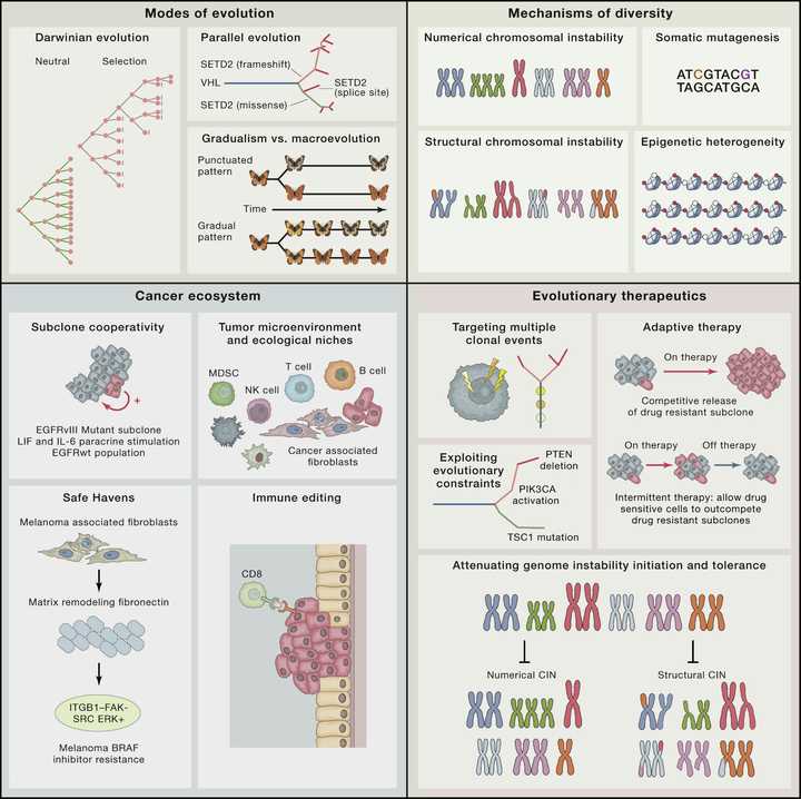 化疗和放疗到底能不能治愈癌症？ - 知乎