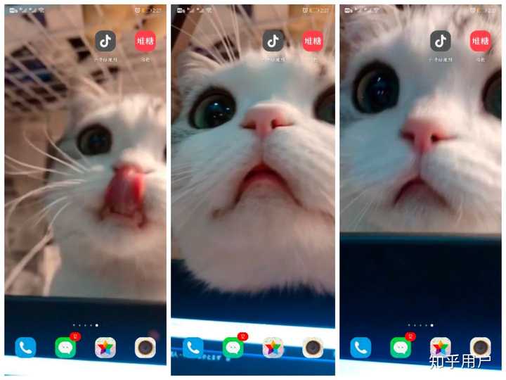 有哪些好看的动态壁纸？ - 知乎