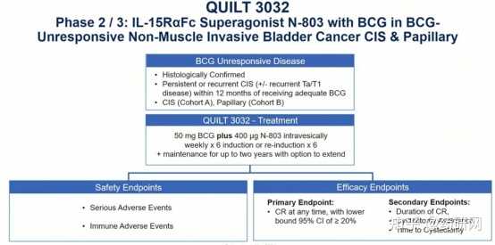什么是白细胞介素15 (IL-15)？ - 知乎