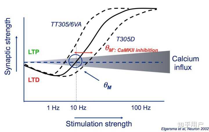 不同的ltp诱发方式有什么区别吗？ - 知乎