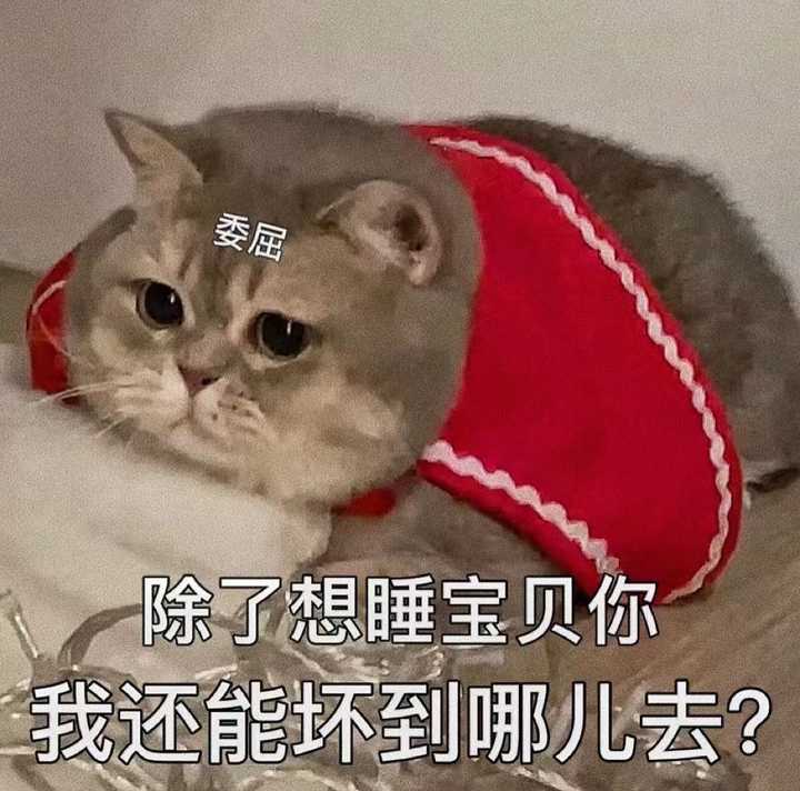 有没有比较涩涩的表情包？ - 知乎