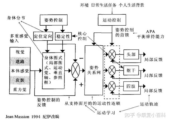 新bobath与旧bobath的区别在哪些地方？ - 知乎