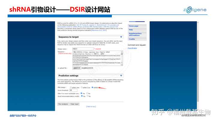 shRNA设计原则是什么？ - 知乎