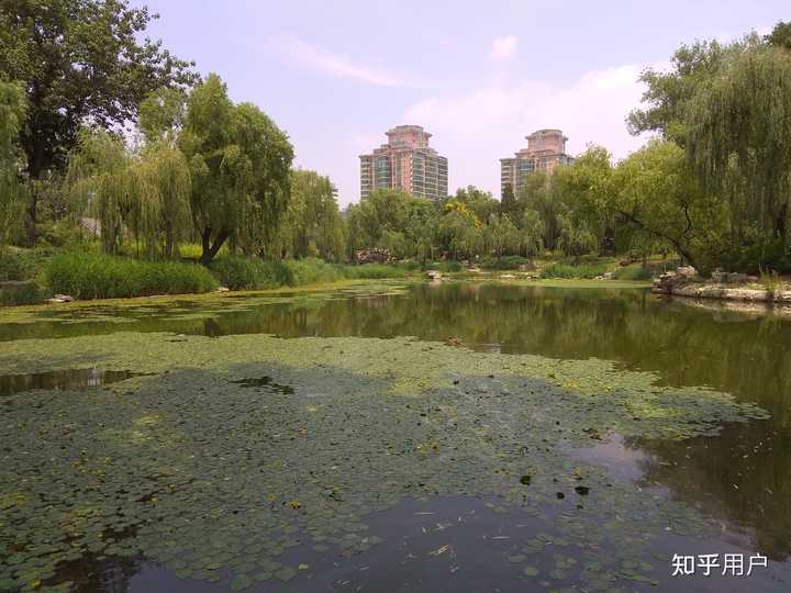 Python中用inverse_transform还原数据输出结果是指数形式，如何改成原始格式？ - 知乎