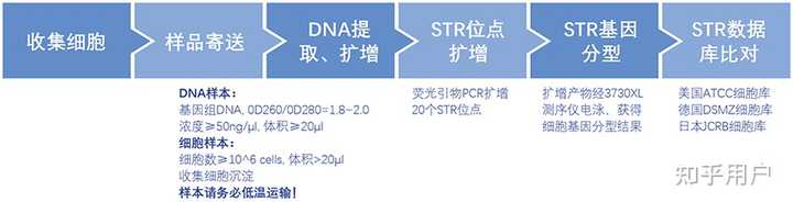 什么是STR？STR鉴定结果可说明的问题是什么？为什么要进行STR鉴定？ - 知乎
