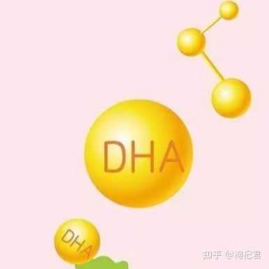 含有 DHA 的食物有哪些？ - 知乎