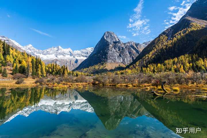 A7C2 S5M2 如何选择？ - 知乎