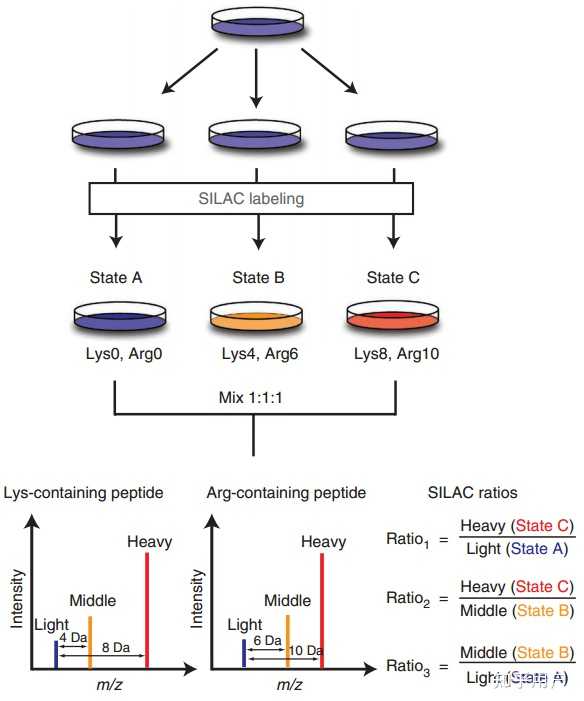 蛋白质组学技术都有哪些？ - 知乎