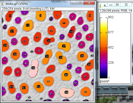有哪些实用的ImageJ使用技巧？ - 知乎