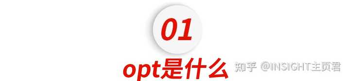 准备出去留学了，想具体问一下OPT是什么意思，大概怎么申请呢？ - 知乎