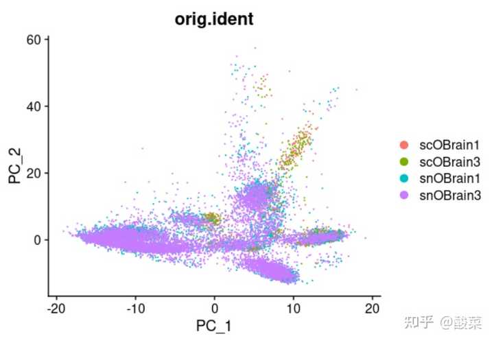 scRNA-seq和snRNA-seq有什么区别？ - 知乎