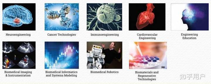 生物医学工程（Biomedical Engineering/BME）主要学习包括哪些内容？在国内外的深造、就业前景怎么样？ - 知乎