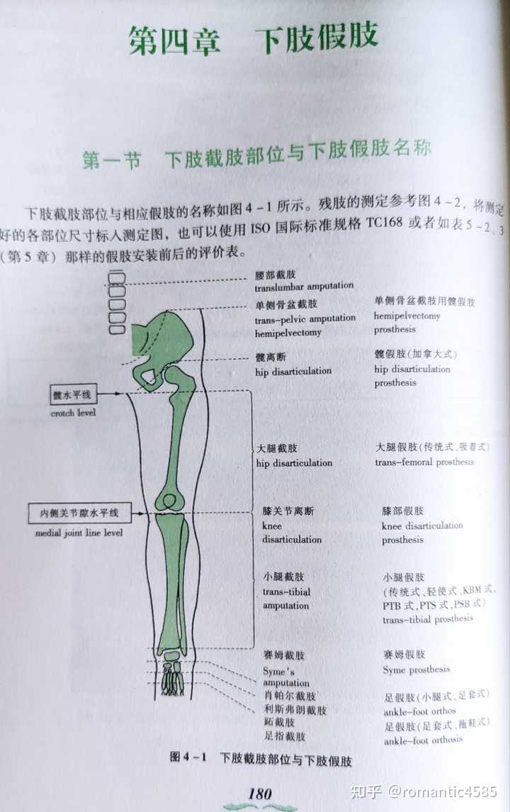 常见的截肢平面图有哪些? 知乎