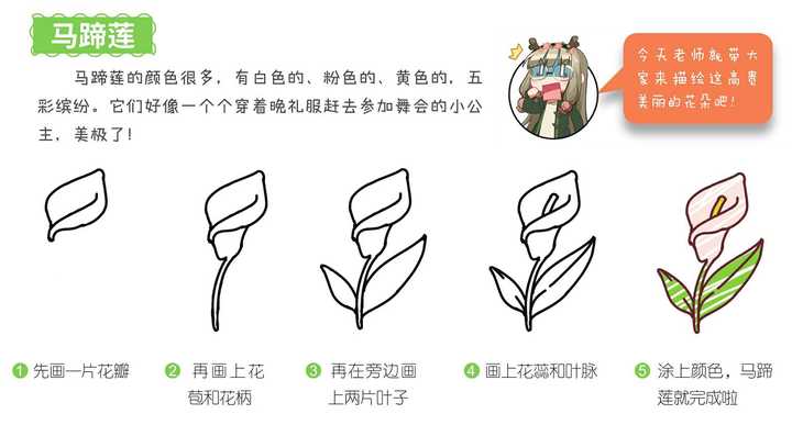 有哪些漂亮的简笔画? 知乎