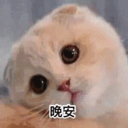 有哪些特别可爱的晚安表情包？ - 知乎