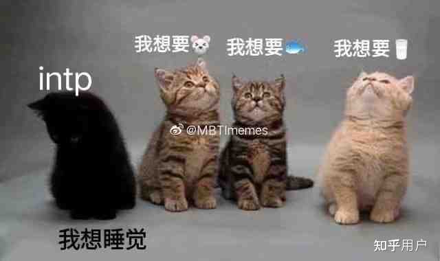 INTP和ISTP有什么区别？ - 知乎