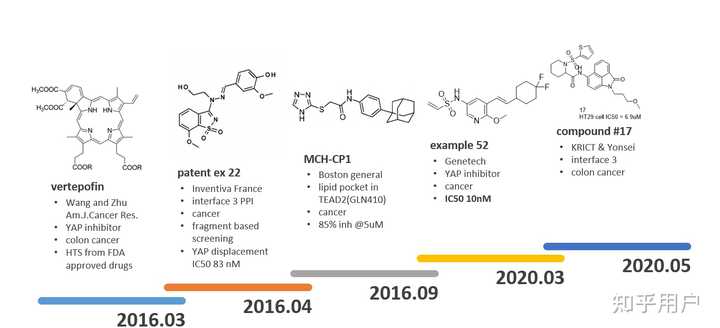 Hippo 信号通路的调节机制与潜在的癌症治疗靶点是什么关系？ - 知乎