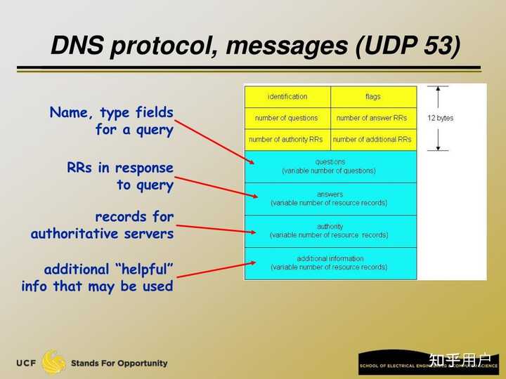 udp53端口作用是什么？ - 知乎