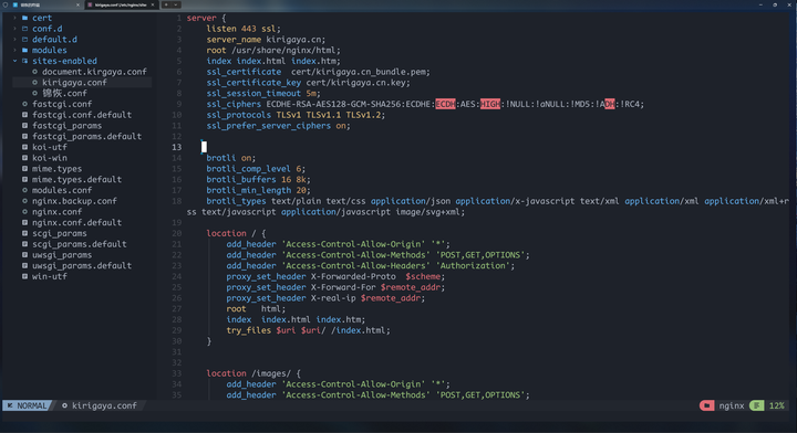 大家开发用的是vim还是neovim？ - 知乎