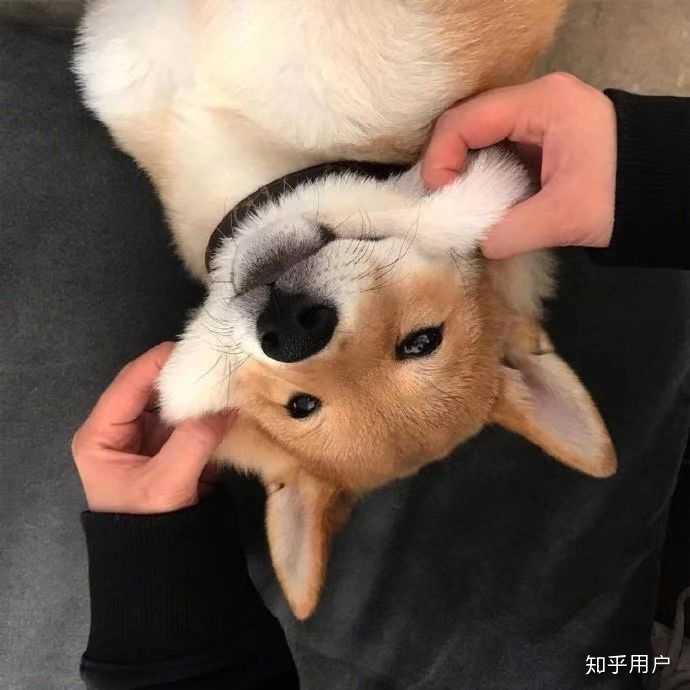 你在没有离职的情况下去别的公司面试，请假时会跟现公司的领导说明你是去别的公司面试吗？ - 知乎