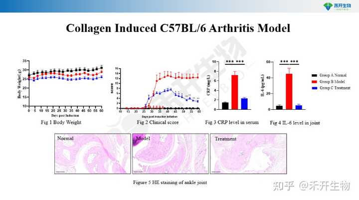 什么是白细胞介素23 (IL-23)？ - 知乎