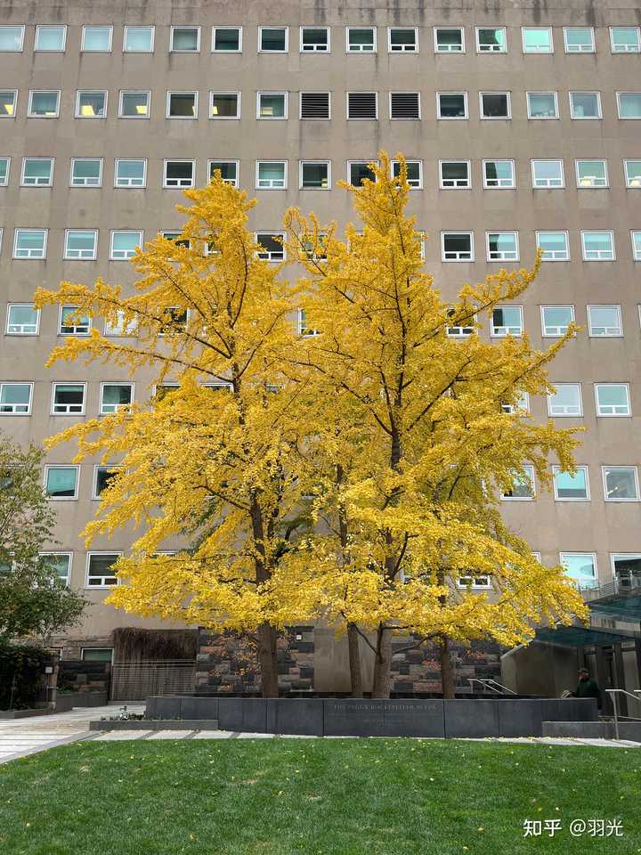 在洛克菲勒大学(The Rockefeller University)就读是一番怎样的体验? - 知乎